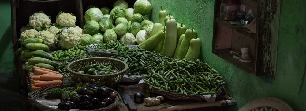 Ernährung – Ayusha Ayurveda